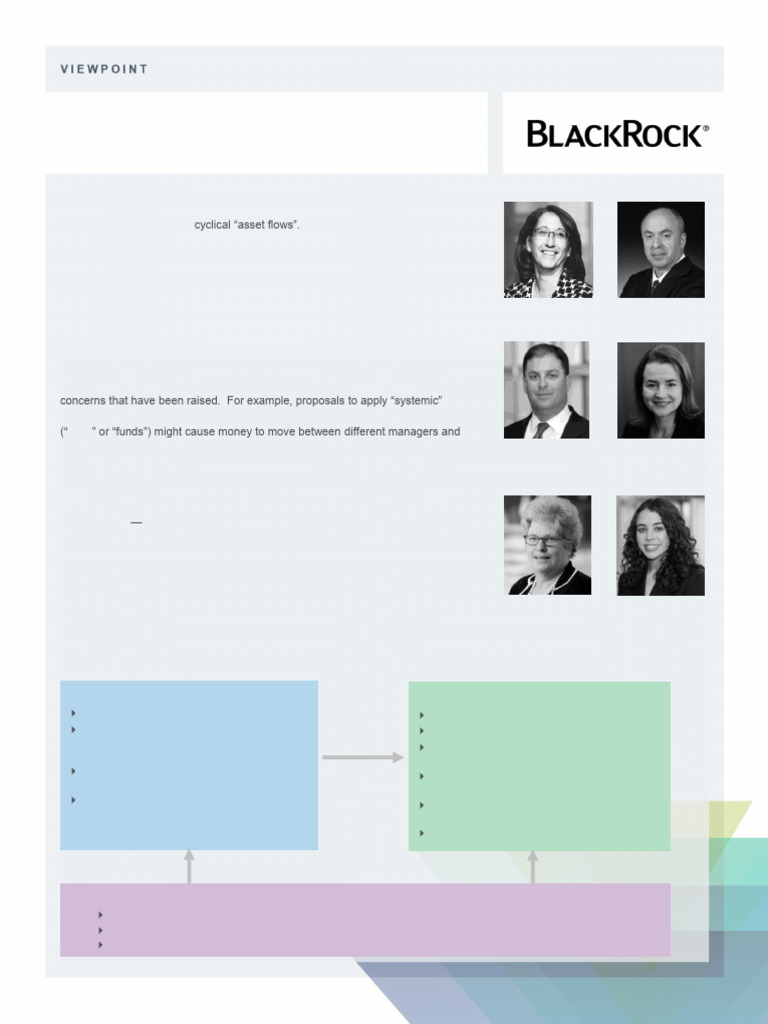 Blackrock Who Owns The Assets May 2014 | PDF