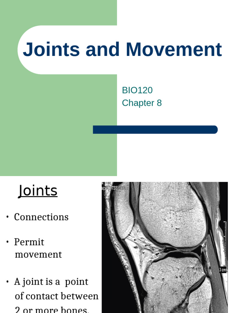 Chp8-Joints and Movement | PDF