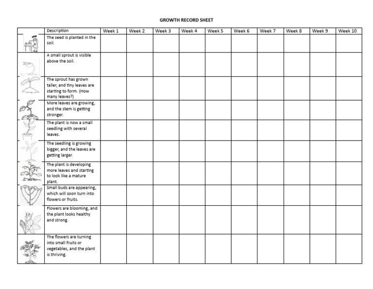 Copia de GROWTH RECORD SHEET | PDF