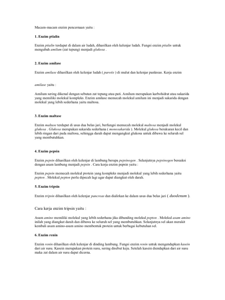Macam Macam Enzim | PDF