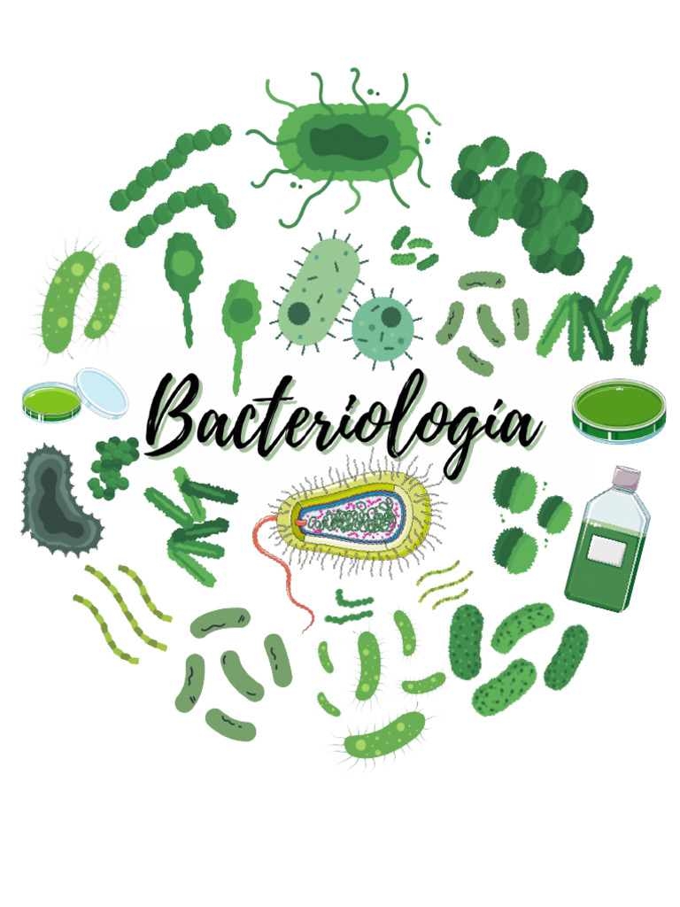 PORTADA BACTERIOLOGÍA | PDF