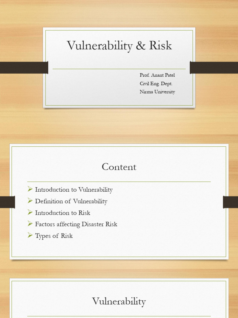 Risk and Vulnerability | PDF