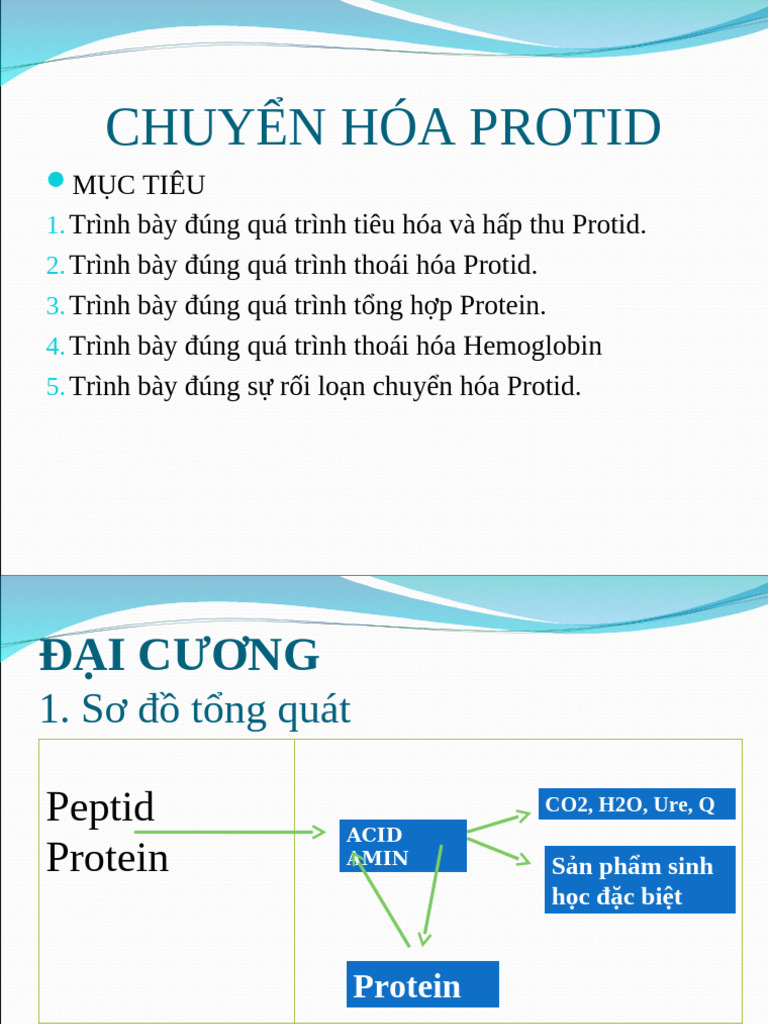 Tailieuxanh Chuyen Hoa Protid 2746 | PDF