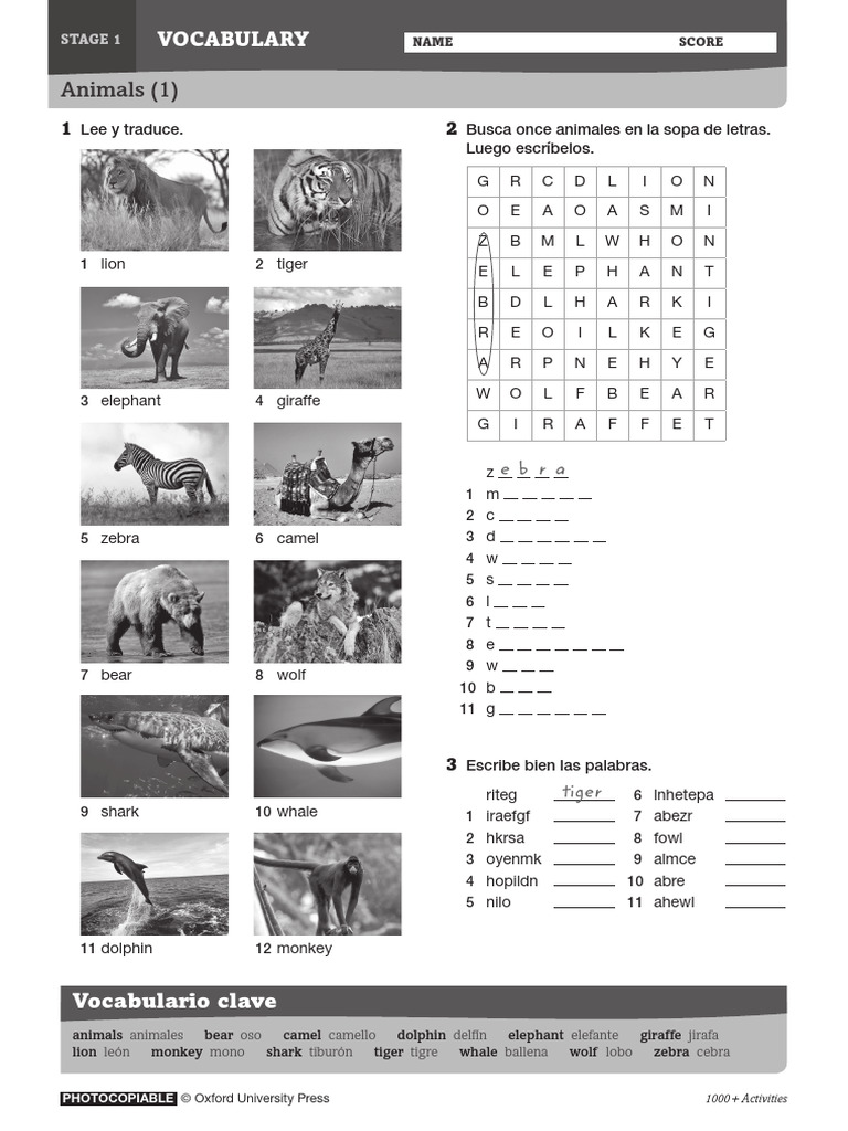 Stage 1 Animals 1 | PDF