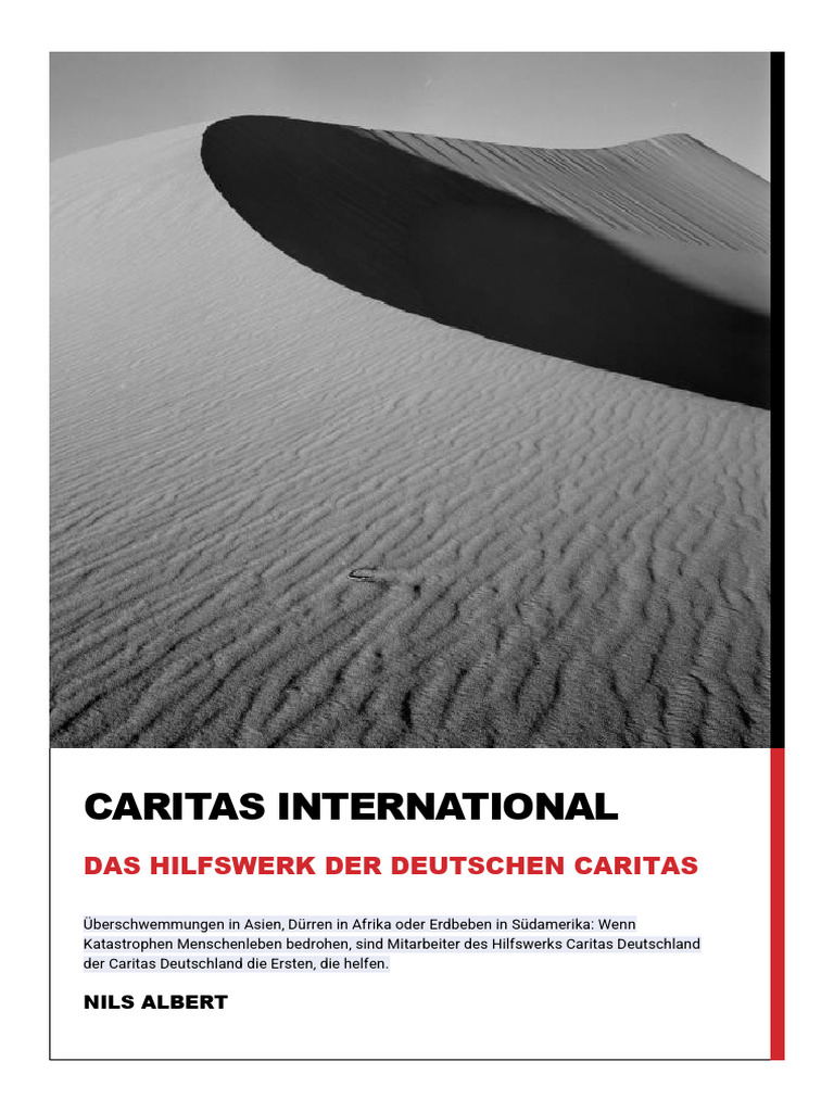Caritas International | PDF