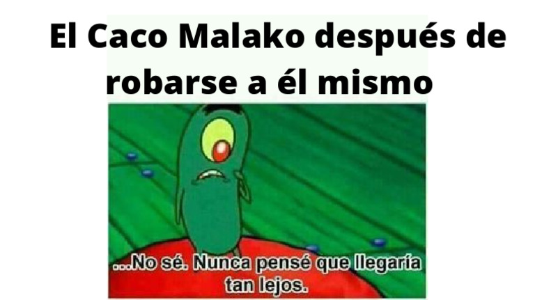 El Caco Malako Después de Robarse a Él Mismo | PDF