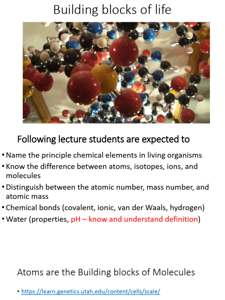 L2 Building Blocks of Life | PDF