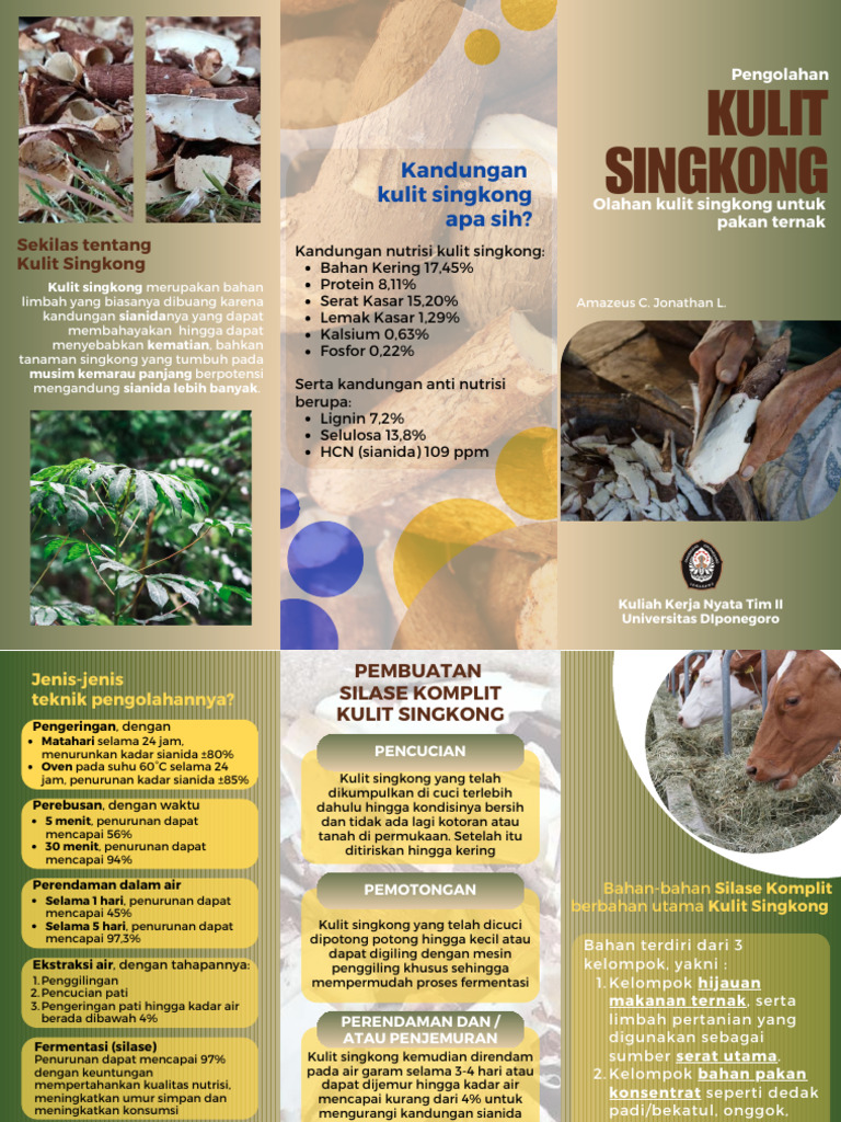 Kulit Singkong FIX | PDF