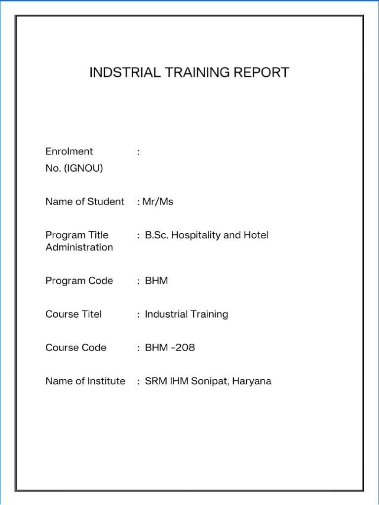 Anuj IT Report | PDF