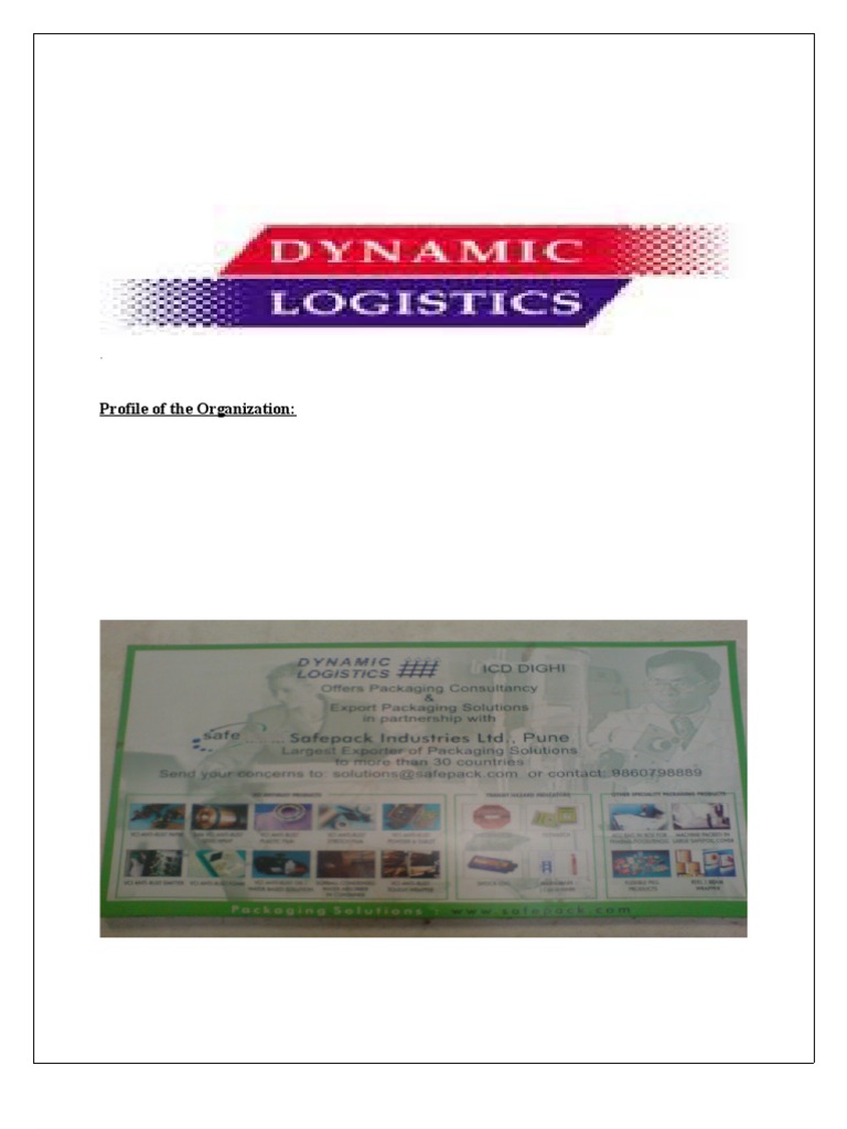 Dynamic Logistic | PDF | Logistics | Warehouse