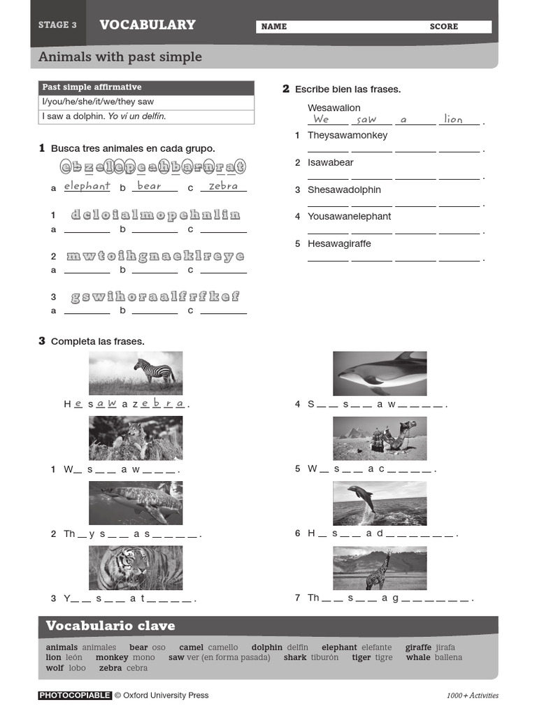 Stage 3 Animals With Past Simple | PDF