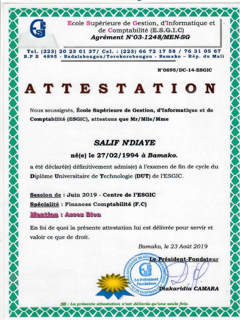 ESGIC Attestation | PDF