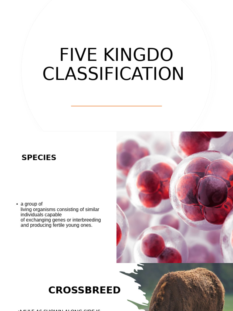 5 Kingdom Classification | PDF