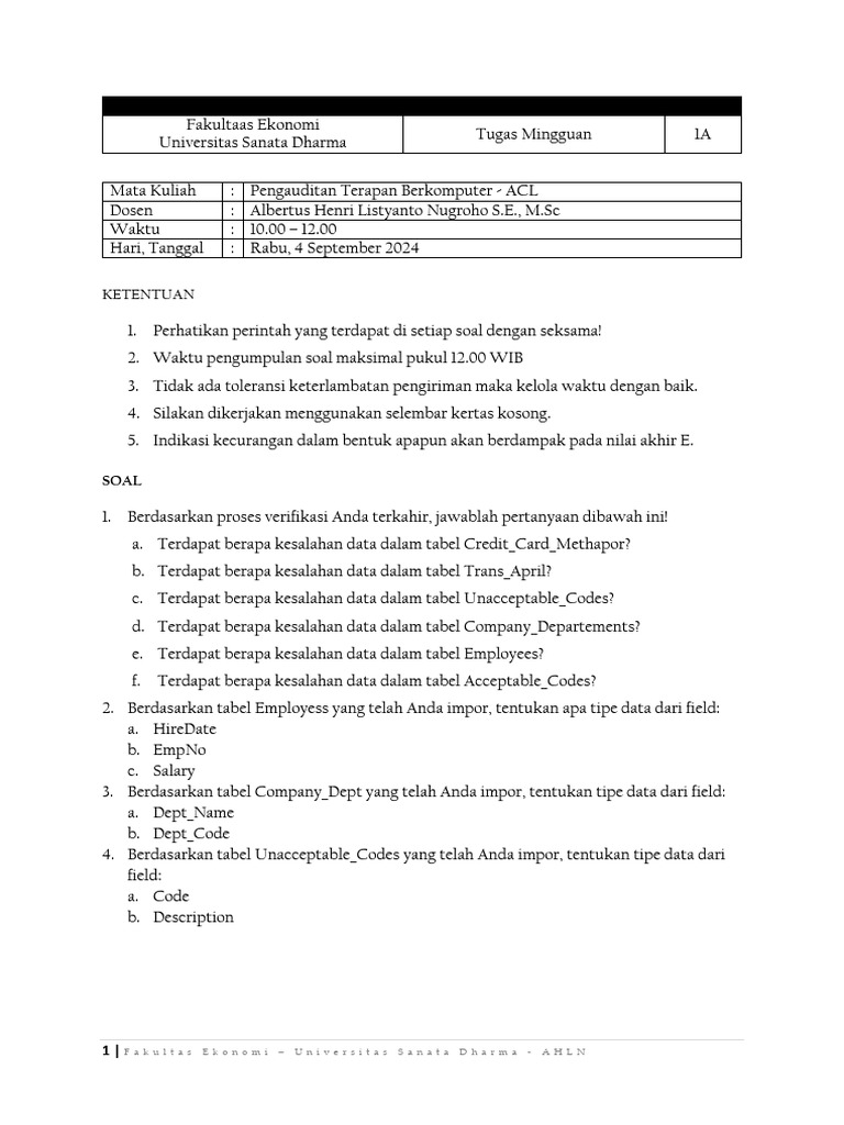 Applied Computer Auditing Assignment | PDF