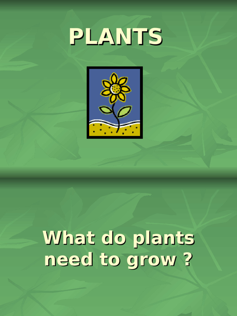 Plants | PDF