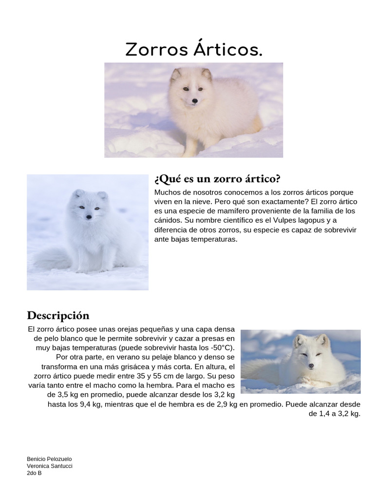 Zorros Árticos | PDF