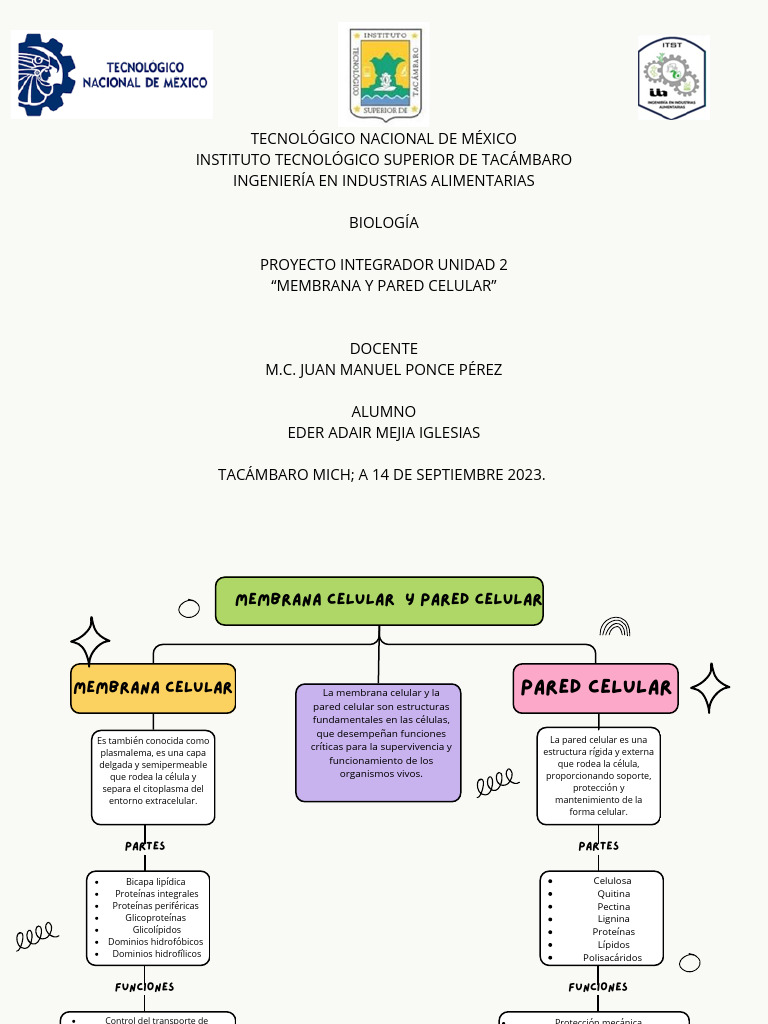 T2 - U2 - Mejia Eder | PDF