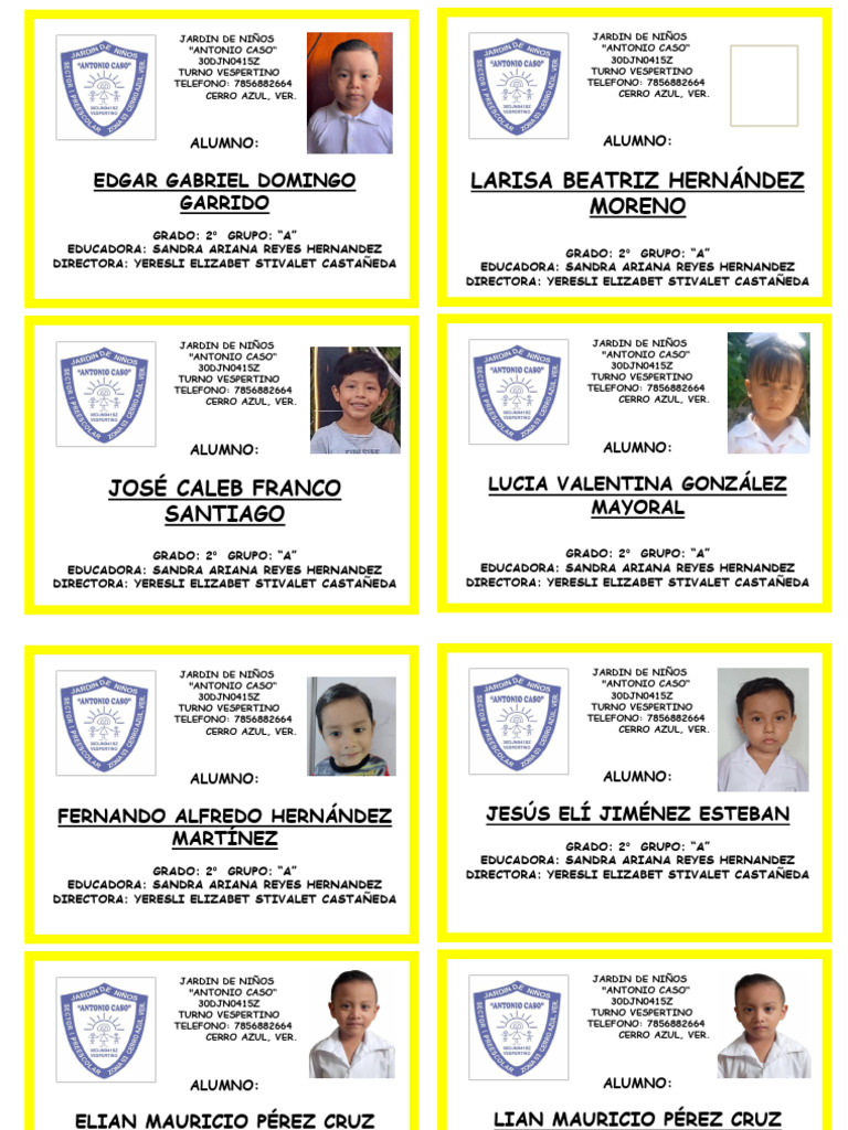 Formato de Credenciales y Gafees Amarillo | PDF