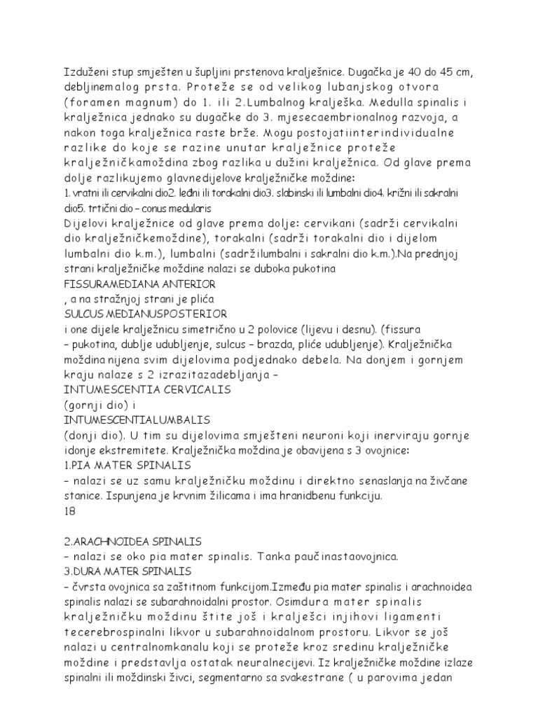 Kicmena Mozdina | PDF