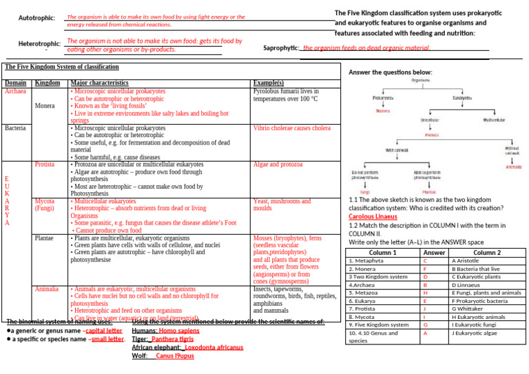 Classification and Biodiversity One Pager Memo | PDF