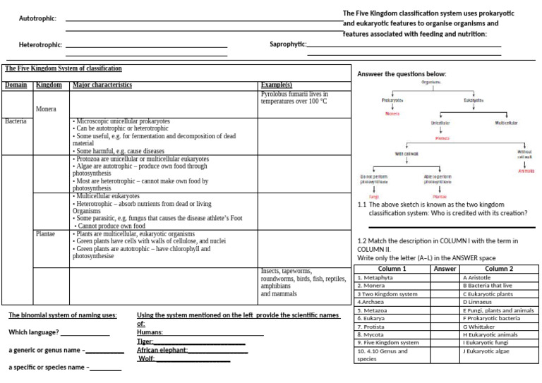 Classification and Biodiversity One Pager | PDF