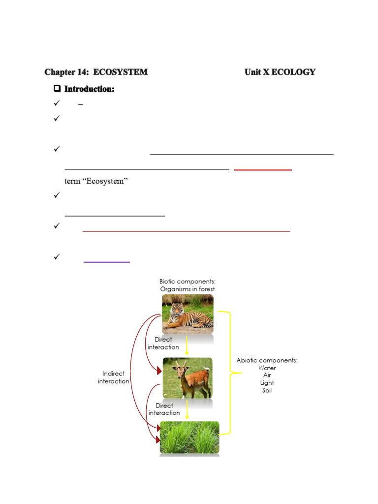 Ecosystem Class 12 | PDF