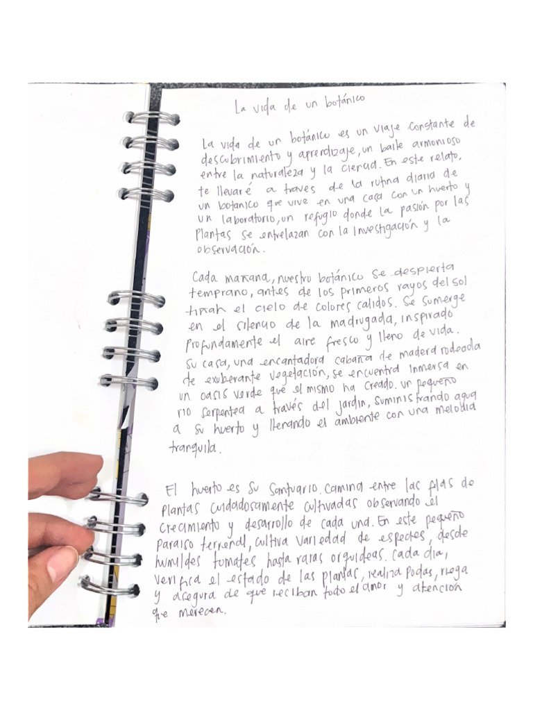 Bitácora 2 Final | PDF