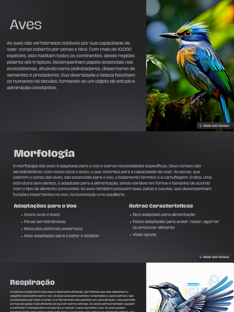 Introducao-as-Aves - PPTX 20240726 152916 0000 | PDF