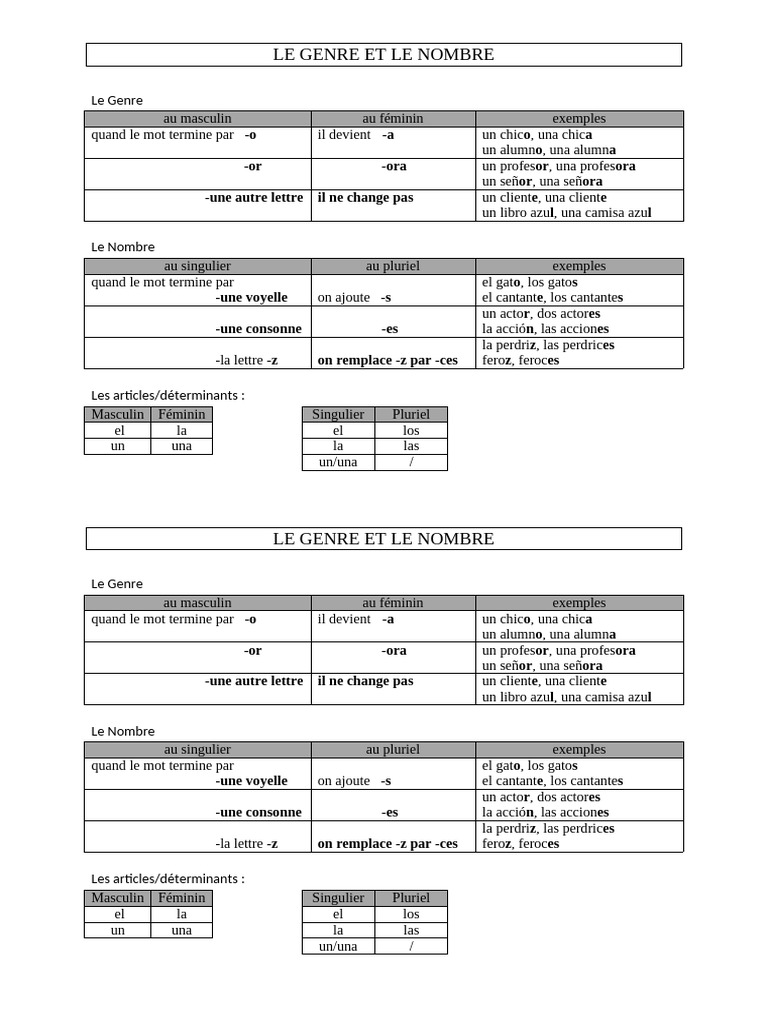 Le Genre Et Le Nombre | PDF