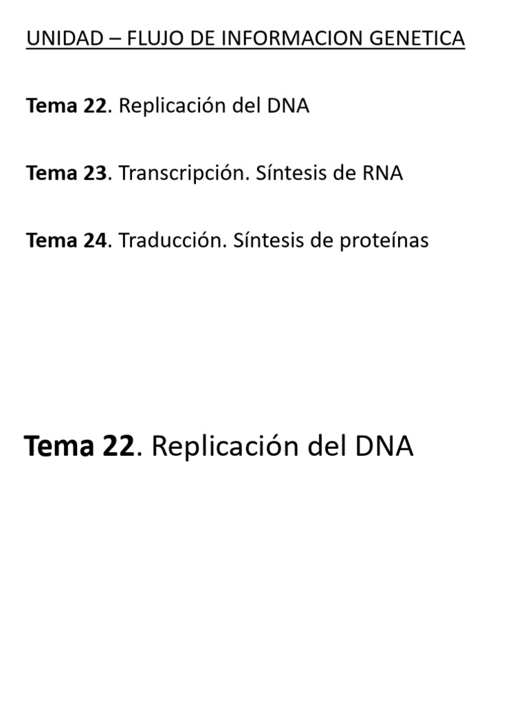 TEMA 22 - REPLICACIÓN DNA - MOrtega | PDF