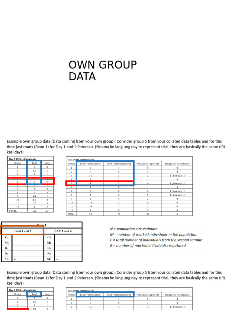 How To Use Your Collated Data Data Management Table | PDF