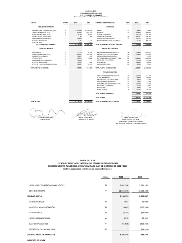 EEFF-Notas-Anio-2021 (1) | PDF