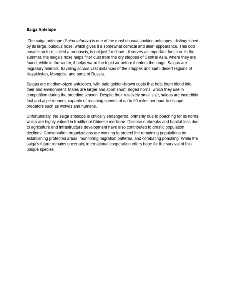 Saiga Antelope | PDF