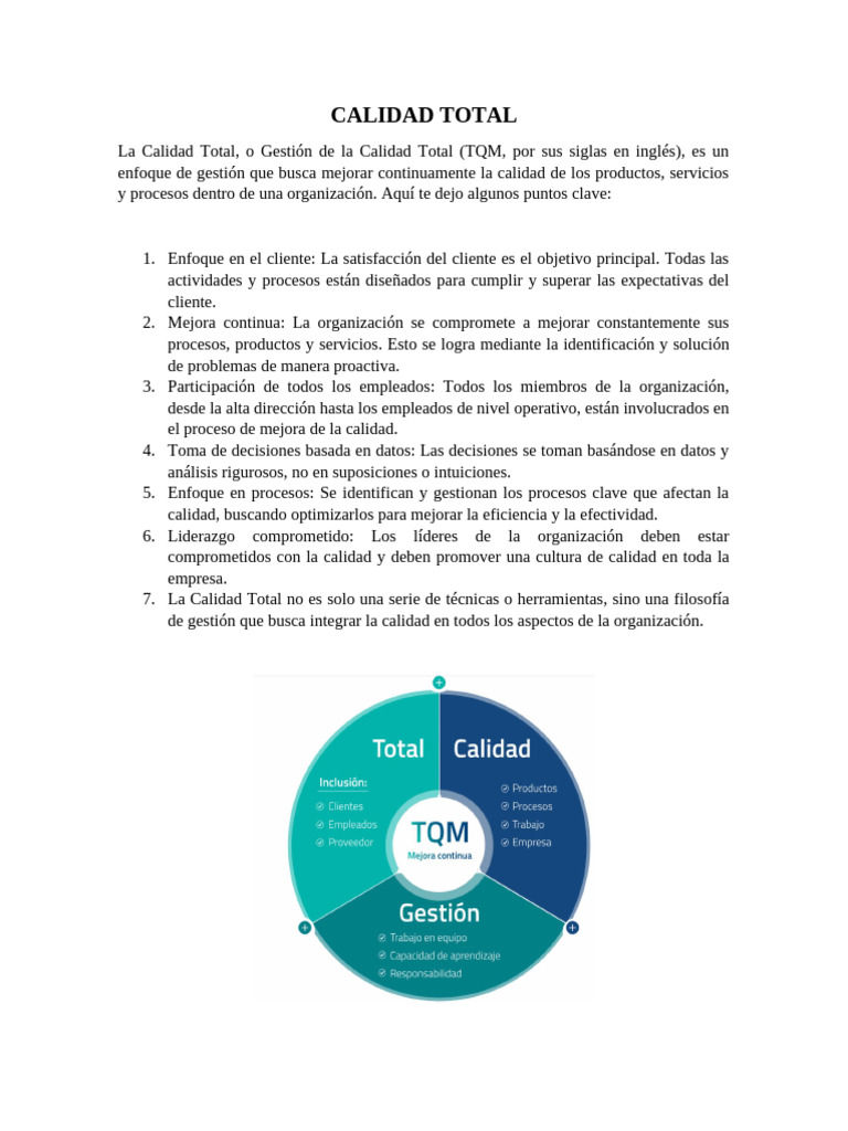 Calidad Total Pdf