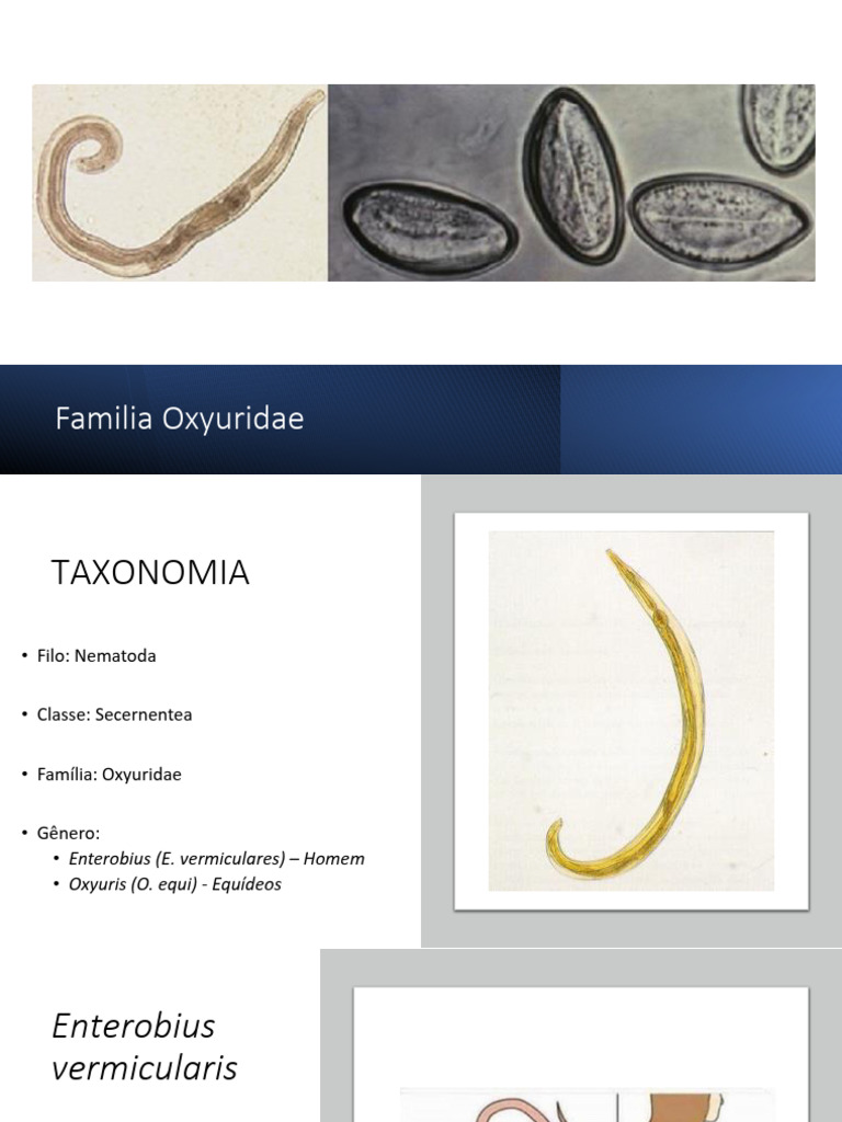 10 Oxyuris Equi | PDF