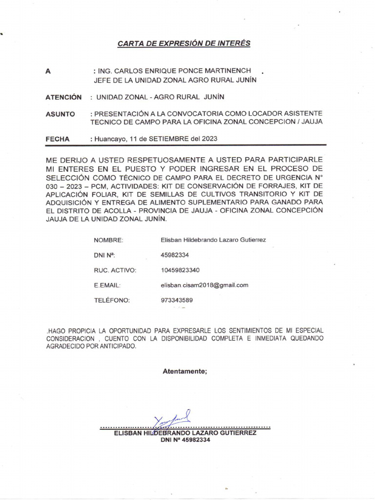 carta de expresion de interes firmado | PDF