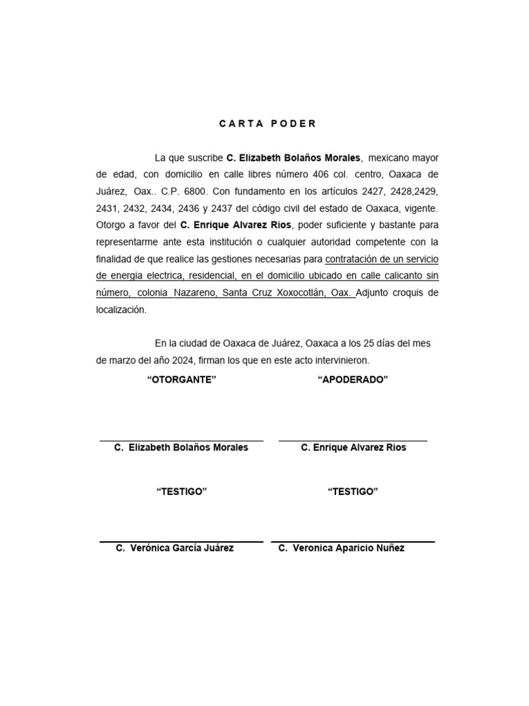 Carta Poder_CFE | PDF