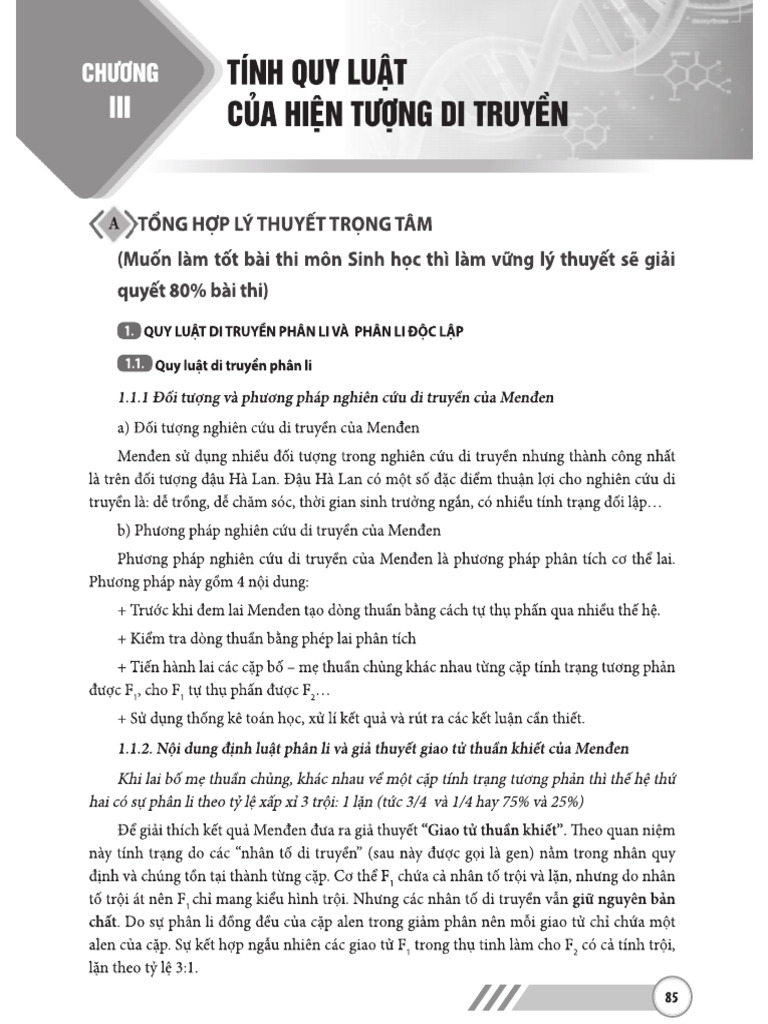 Di Truyen Bien Di - Sinh Hoc - Anh | PDF