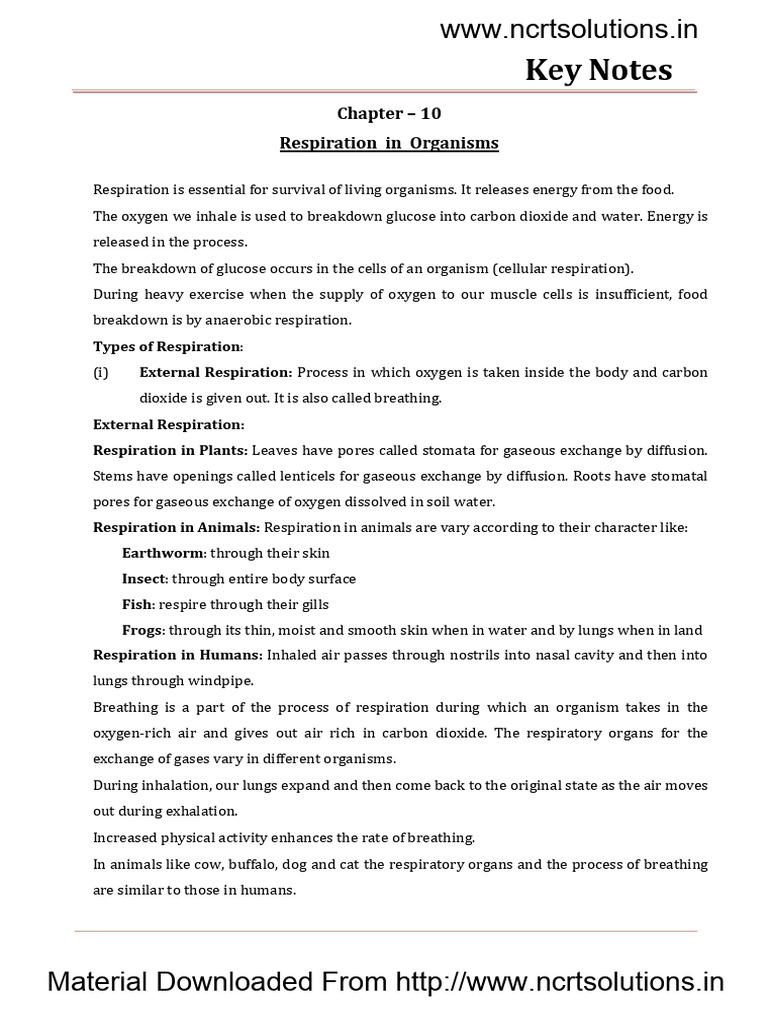 07 Science Key Notes ch10 Respiration in Organisms | PDF