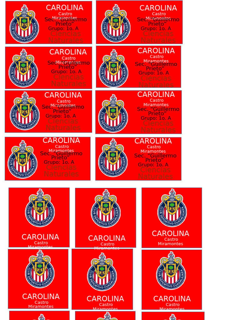 Etiquetas Escolares Club Chivas - Kits Impimibles - Hugo | PDF