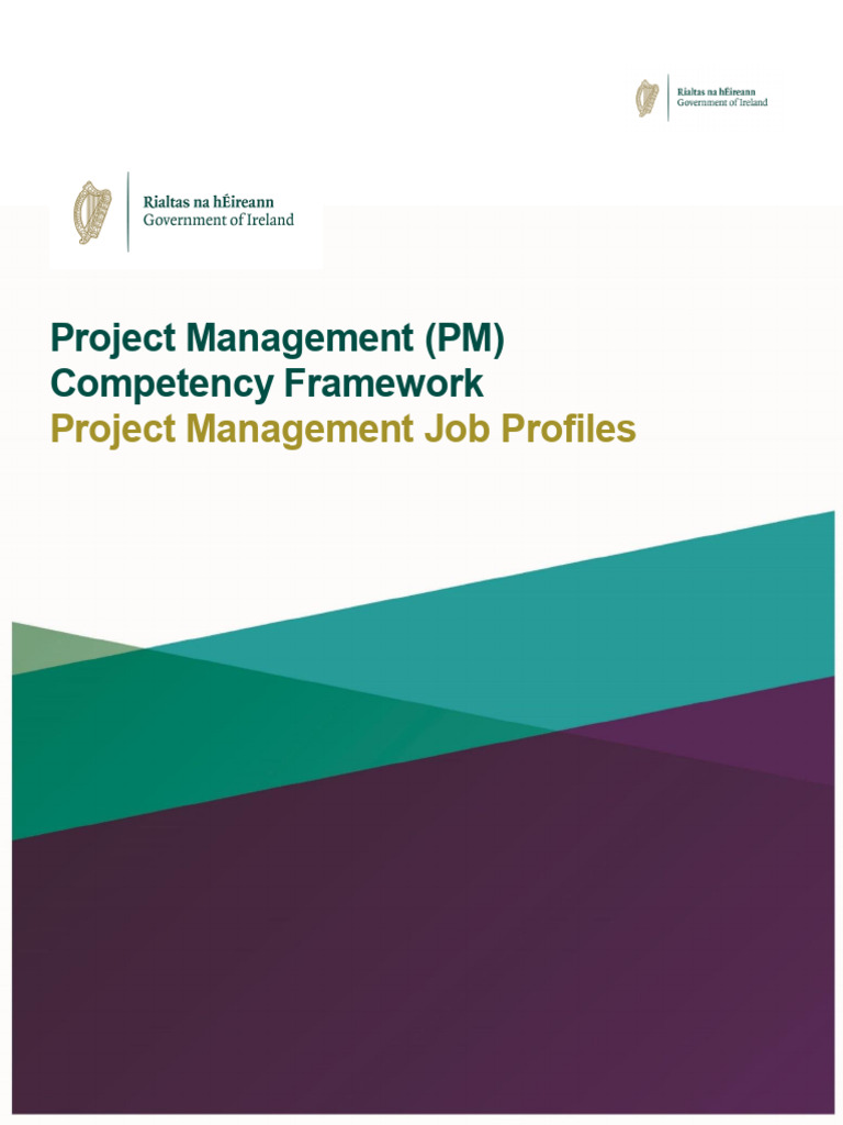 Project Management (PM) Competency Framework | PDF