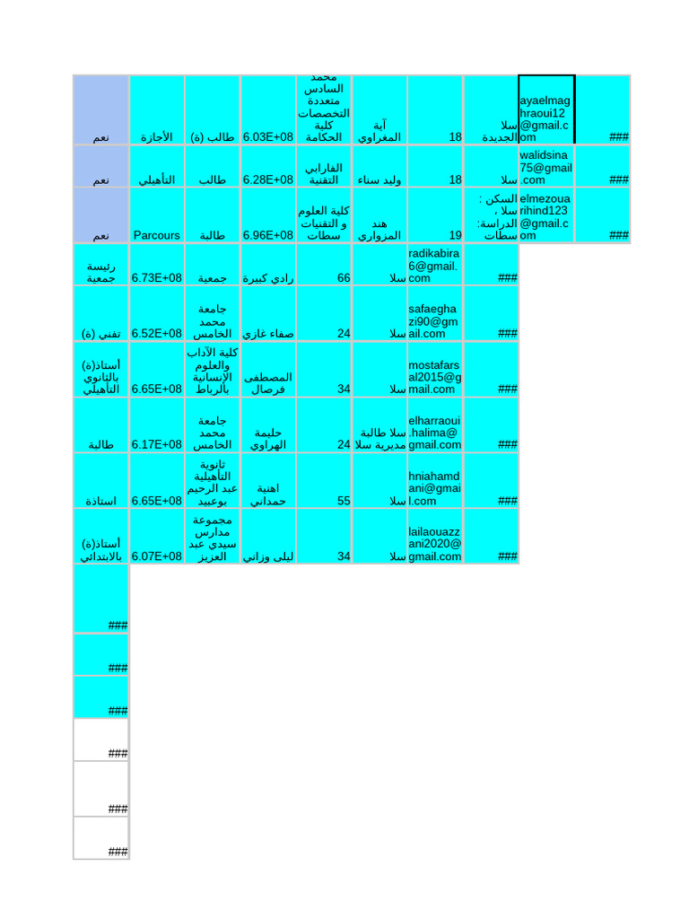 Nouveau Microsoft Excel Worksheet | PDF