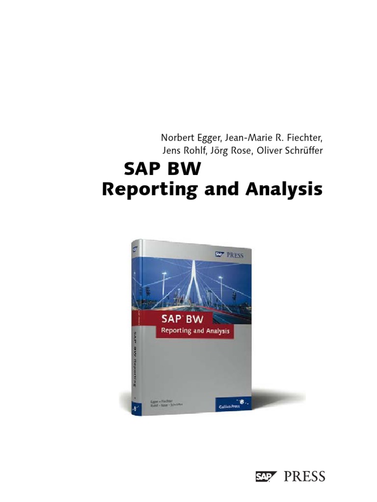 BW Reporting | PDF | Variable (Computer Science) | Microsoft Excel