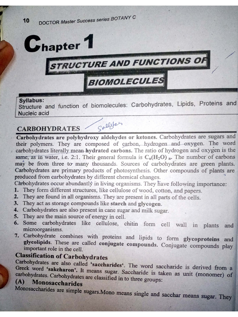 Carbohydrates .Lipid .Proteins .Amino Acid .Nucliec Acid .Dna and Rna | PDF