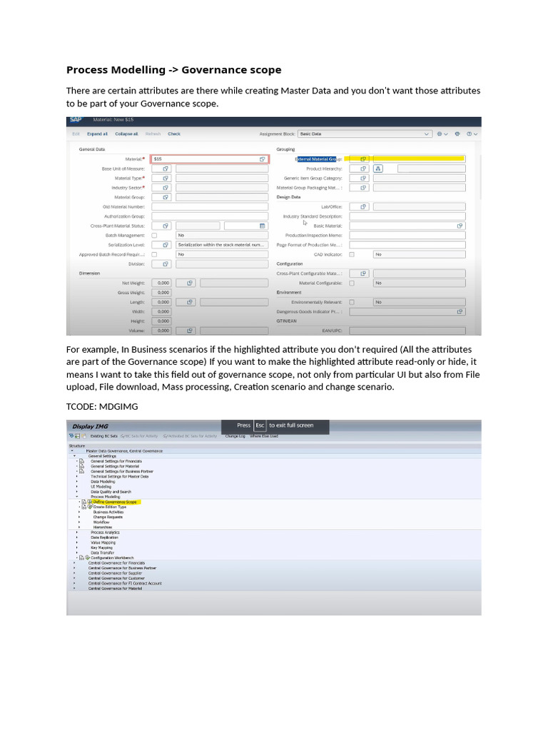 Governance Scope in SAP MDG 1721627323 | PDF