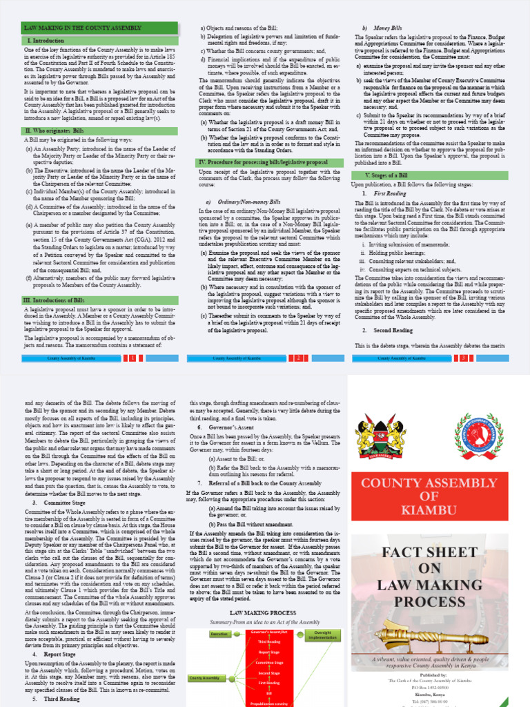 Law Making Process Fact Sheet(0) | PDF