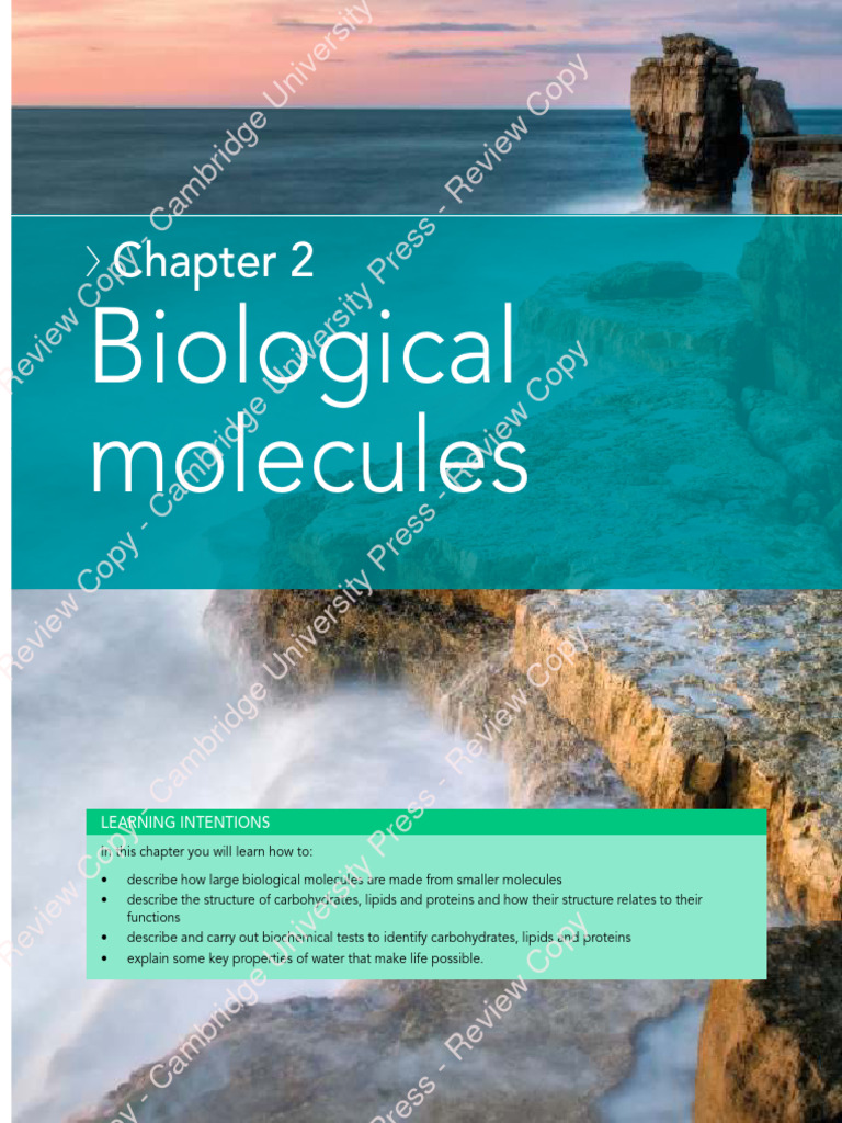 CIE biological molecules-Textbook | PDF CIE biological molecules-Textbook | PDF