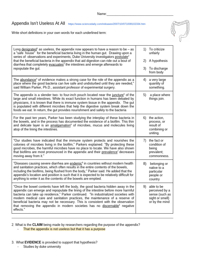 Copy of Article - Appendix Isn't Useless at All | PDF