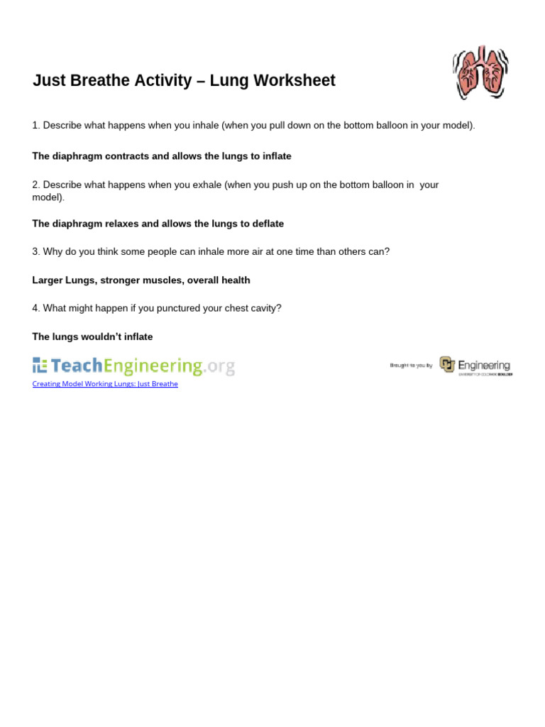 Cub Human Lesson09 Activity1 Worksheet v1 Sas | PDF