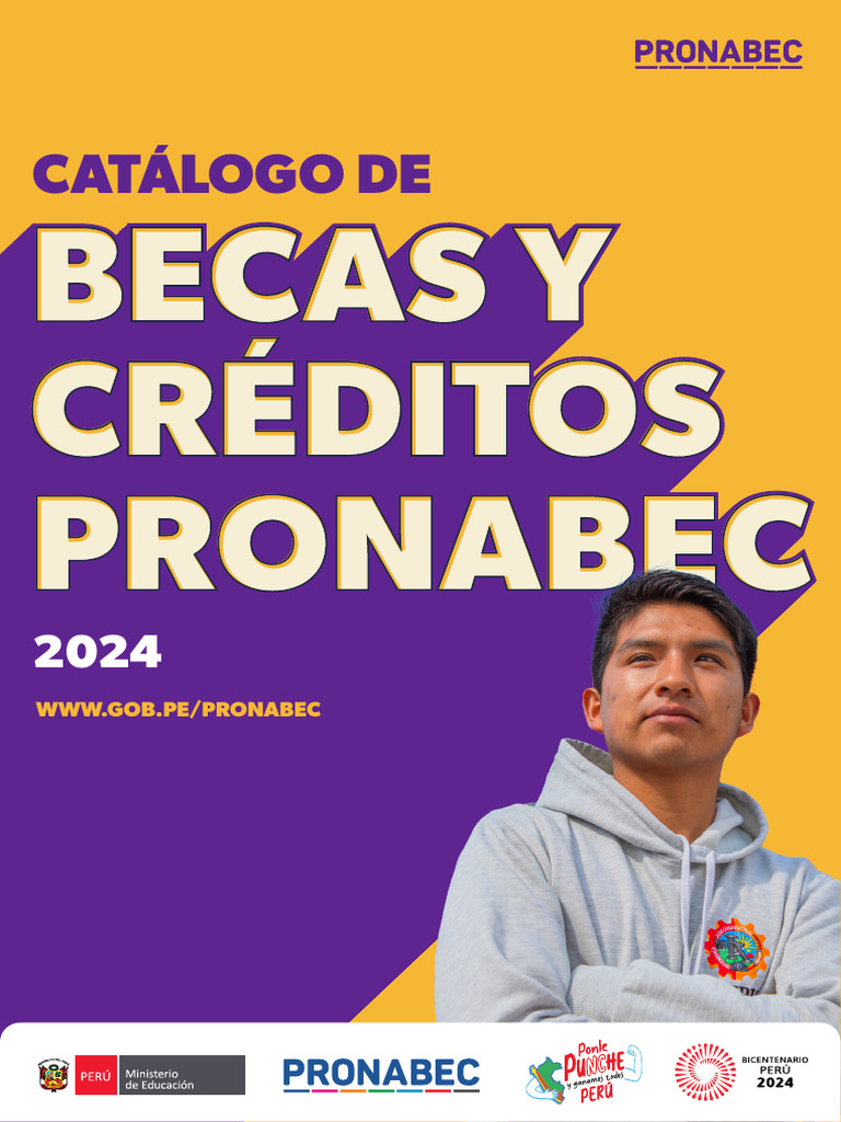 Catálogo de Becas y Créditos Pronabec 090924 | PDF